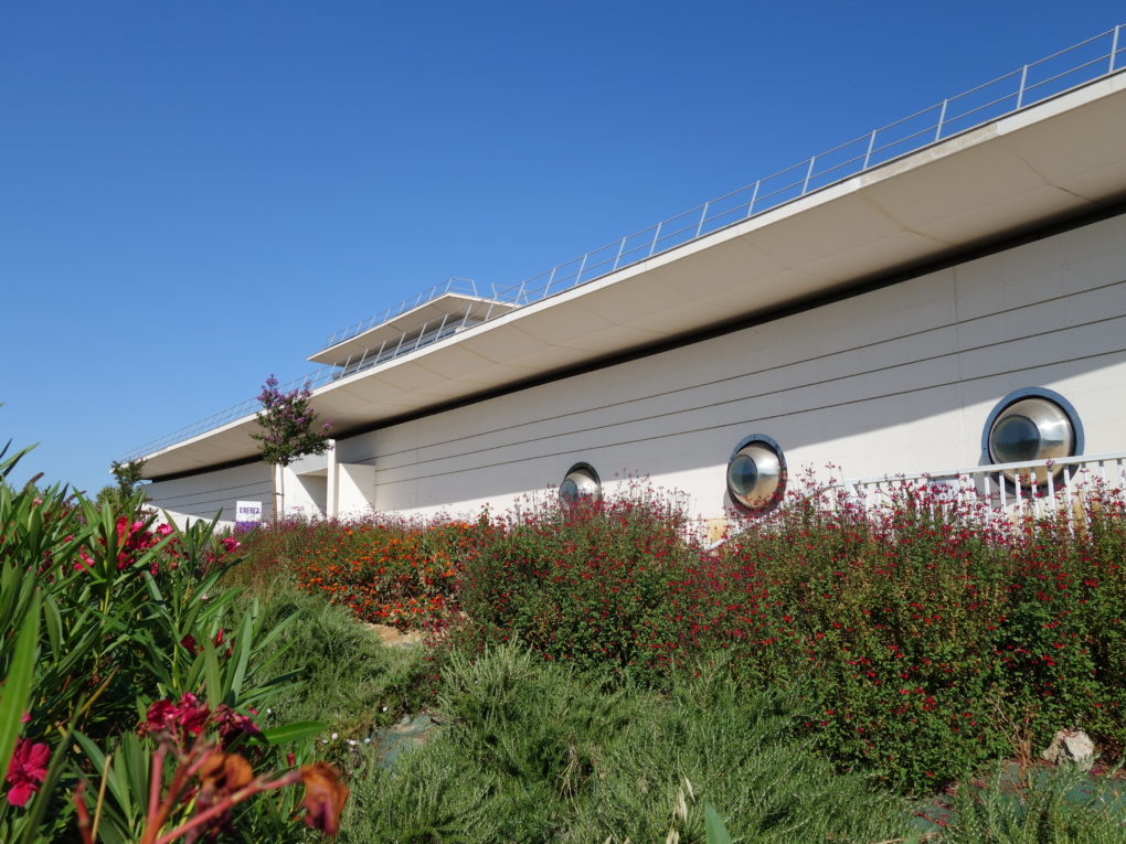 ECP Montpellier | ECP